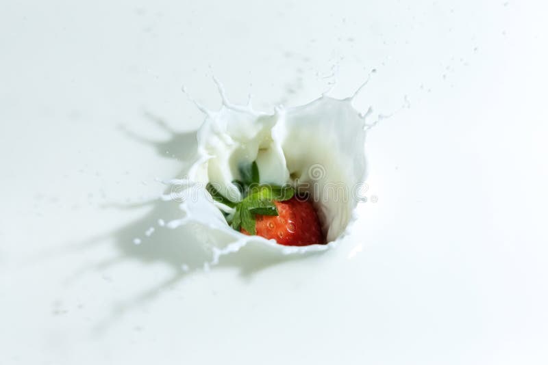 Raw Strawberry Falling into Milk with Splashes Stock Photo - Image of ...