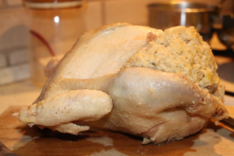 Chicken stock image. Image of background, carcass, fillet - 156339855