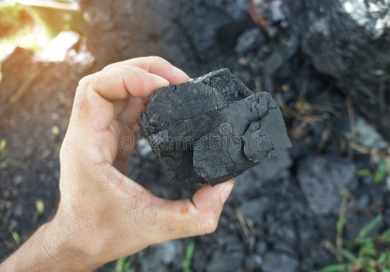 Raw Sub-Bituminous Coal in a Hand. Stock Image - Image of wood, sand ...