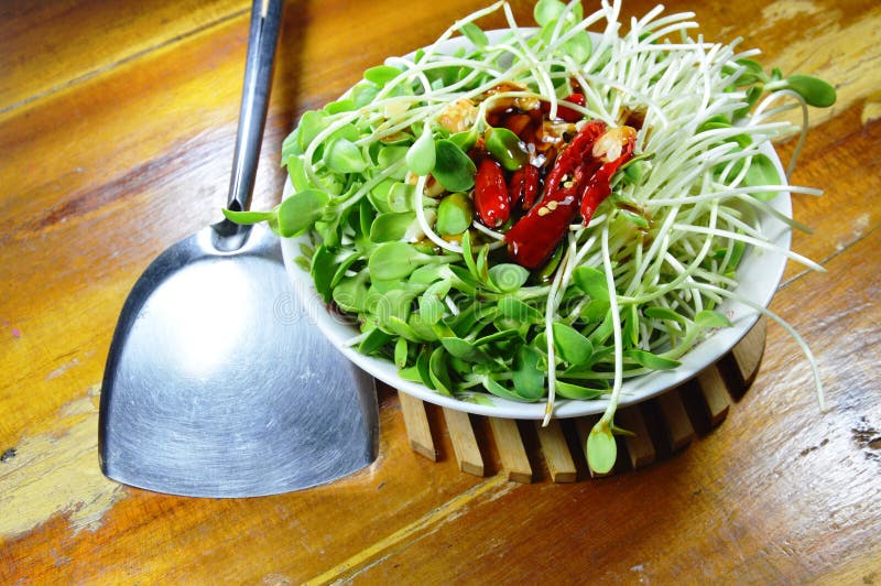 Raw Sunflower Sprout and Iron Flipper Prepare To Cook Stock Photo ...