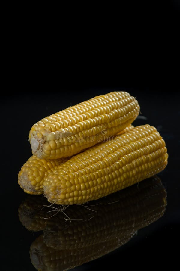 Raw Sweet Corn, Yellow Ripe Corn Ears Stock Image - Image of reflection ... Raw Sweet Corn, Yellow Ripe Corn Ears Stock Image - Image of reflection ...