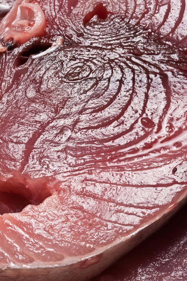 stock photo. Image of albacore, uncooked, shellfish - 21972052