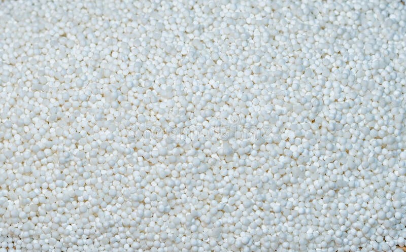 Raw Tapioca Seeds on the Wooden Mat Stock Image - Image of dessert ...