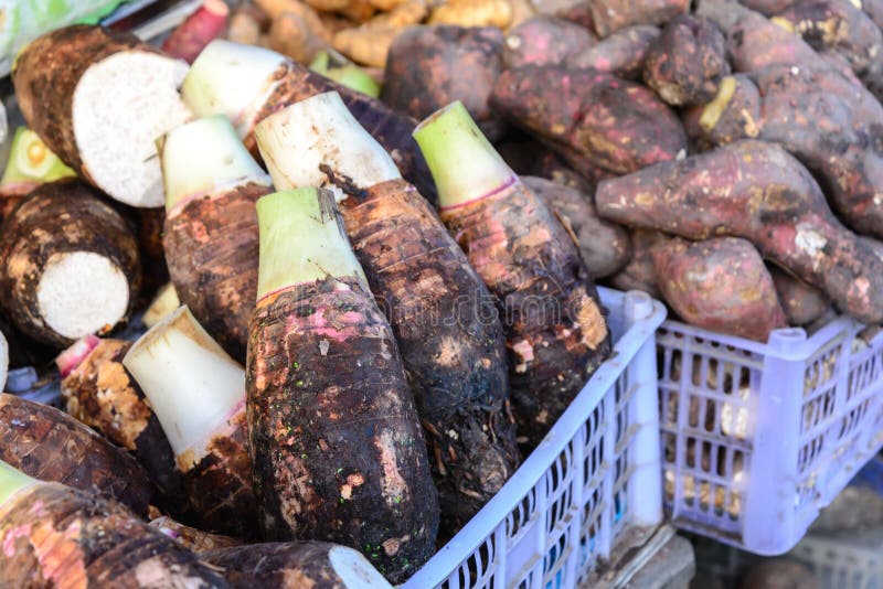 Raw Taro in Basket at Market, Tuber Crops Stock Photo - Image of asian ...