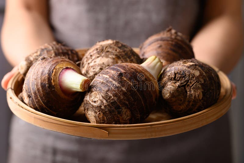 Raw Taro Corm in Basket Holding by Hand Stock Image - Image of ...
