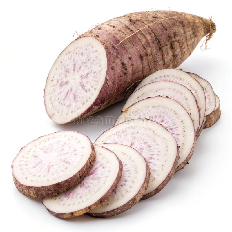 Raw Taro and Sliced stock illustration. Illustration of rootvegetable ...