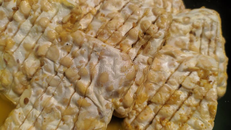 Raw tempeh ready for cook stock photo. Image of breakfast - 255656700