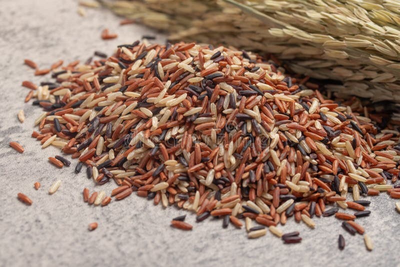 Raw Three Color Jasmine Rice.Thai Rice Grains Stock Photo - Image of ...