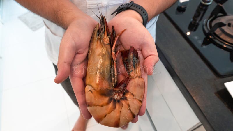 Raw Tiger Prawn Compared with Human Hand Stock Photo - Image of dish ...