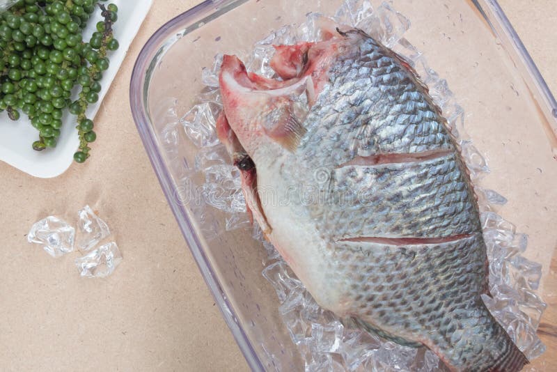 Raw tilapia fish in box stock image. Image of dinner - 132000569