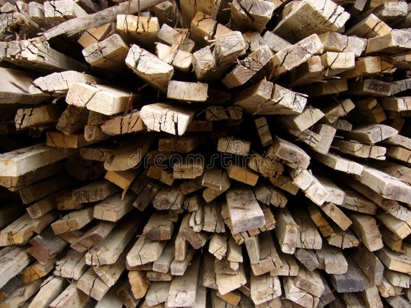 Raw Timber. stock photo. Image of construction, environment - 50444432