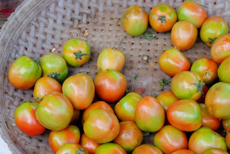 Raw Tomatoes, Fresh Vegetables Stock Image - Image of salad, texture ...