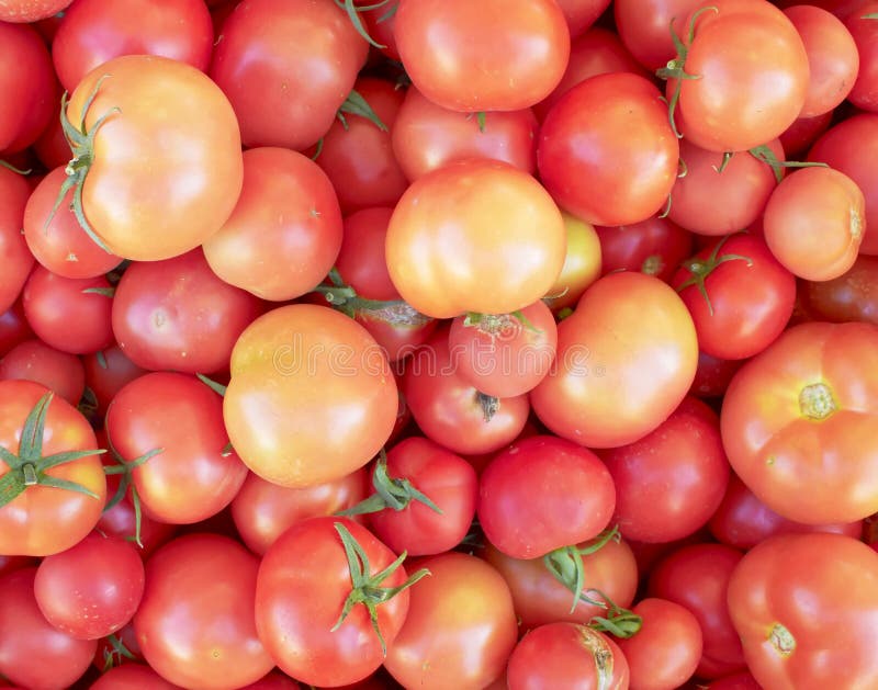 Organic Tomatoes Top View Close Up, Natural Red Background Stock Image ...