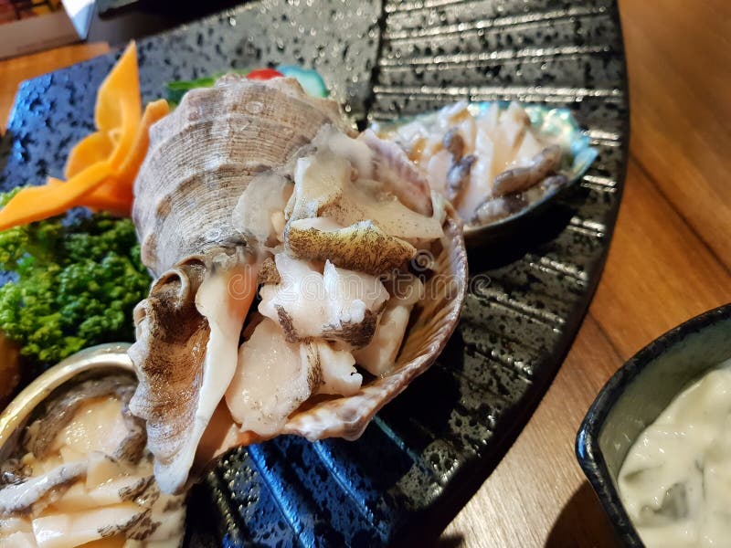 RawÂ Top Shells stock image. Image of shells, rawtop - 92412459