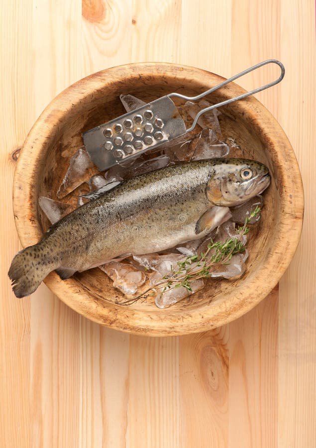 Raw trout fish stock photo. Image of food, decorated - 43893248