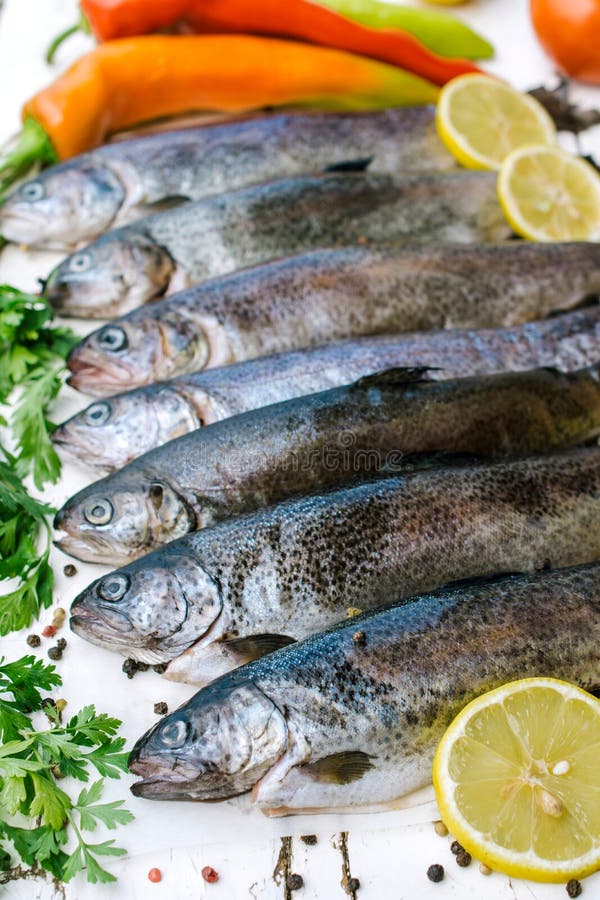 Raw trout fish stock image. Image of table, food, meat - 57413201