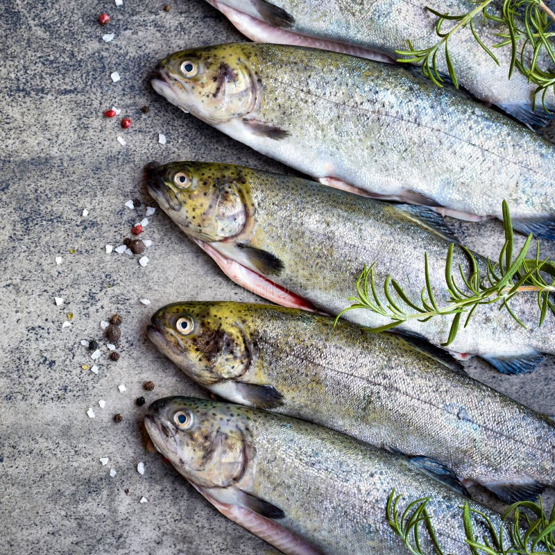 Raw Trout with Herbs on a Board Stock Image - Image of freshness, trout ...