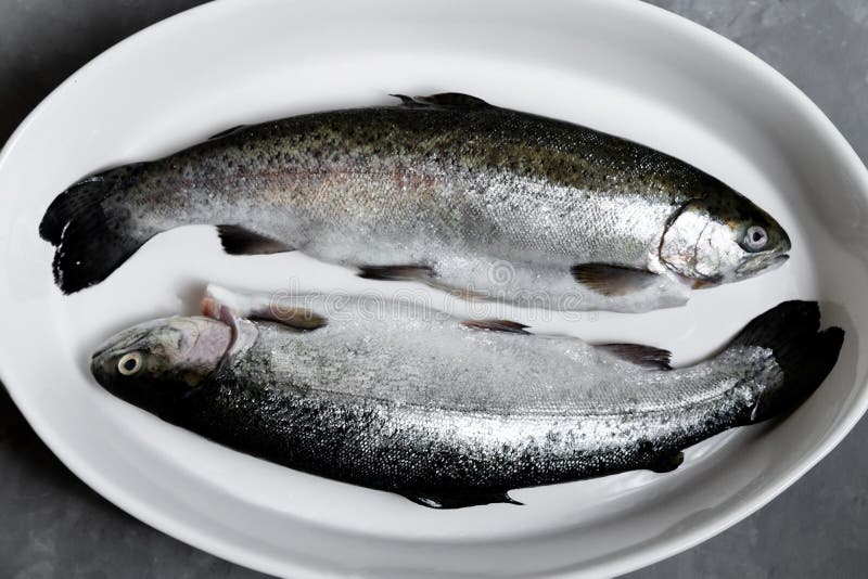 Raw Trout Prepared for Baking in a Baking Sheet, Top View. Stock Photo ...