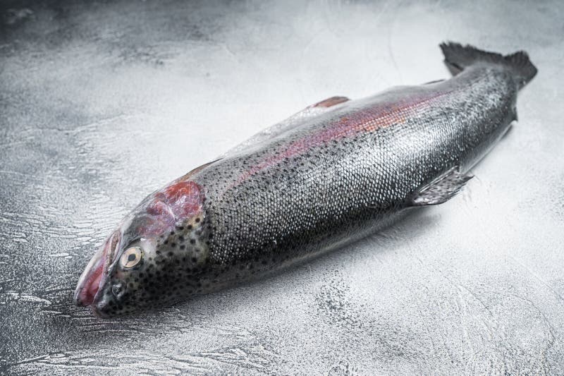 Raw Trout Silver Fish on a Kitchen Table. Gray Background Stock Photo ...