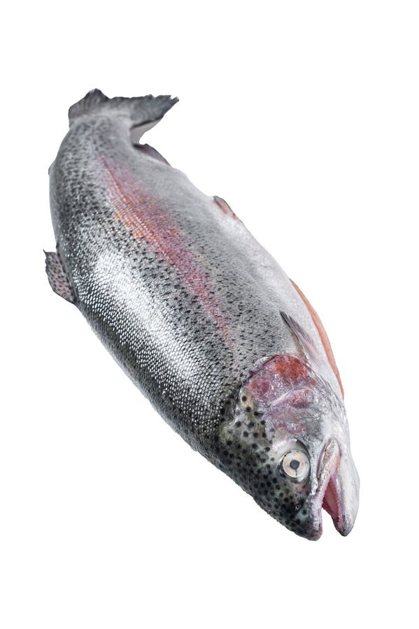 Raw Trout Silver Fish on a Kitchen Table. Isolated, White Background ...