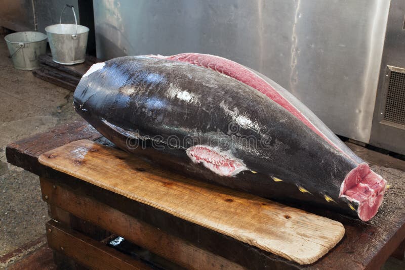 Raw tuna body stock image. Image of piece, shop, famous - 28933275