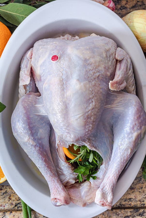 A Raw Turkey Being Prepared for Thanksgiving or a Christmas Dinner ...