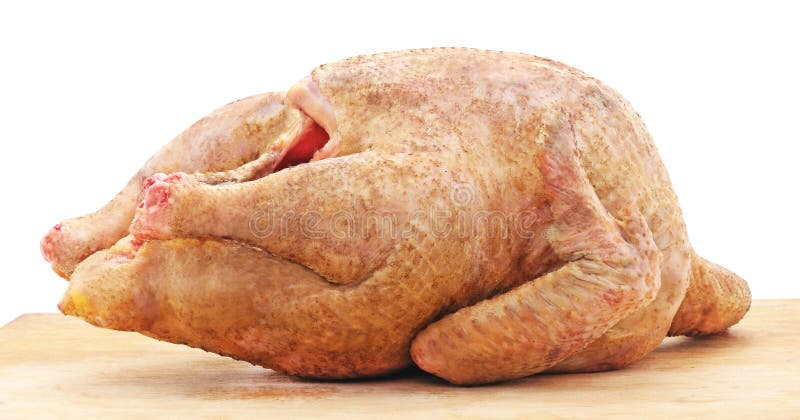 Raw turkey. stock photo. Image of meat, poultry, studio - 61477282