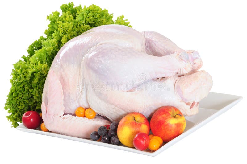 Raw turkey. Isolated stock photo. Image of isolated, meat - 12259154