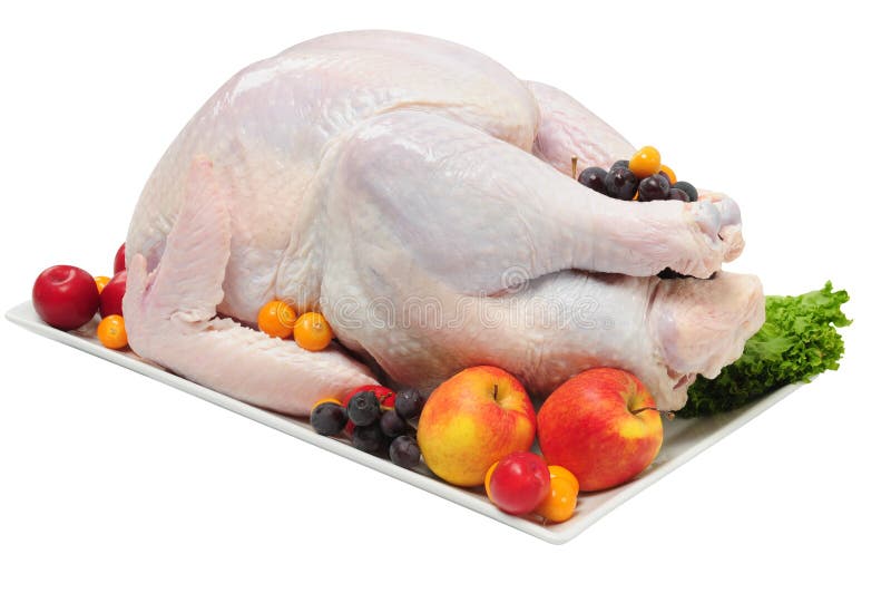 Raw turkey. Isolated stock photo. Image of peach, preparation - 12275638