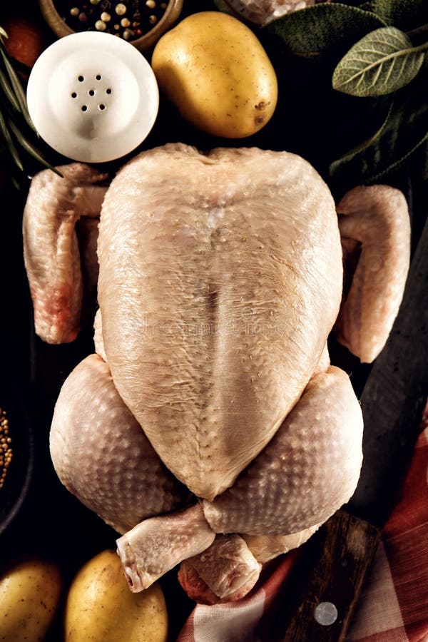 Raw Turkey in Rustic Composition Stock Photo - Image of harvest ...