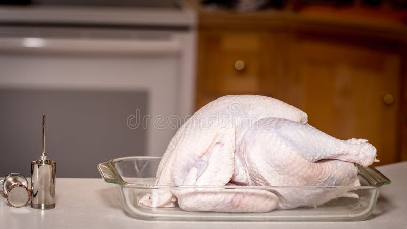 Raw Turkey Waits for Its Injection before Cooking Stock Photo - Image ...