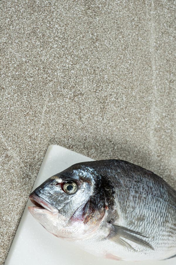 Raw Uncooked Dorado Sea Bream Fish, Place for Text Stock Image - Image ...