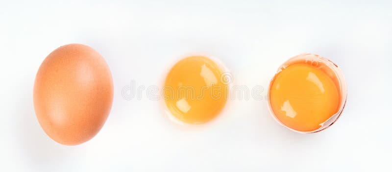 Raw uncooked eggs stock photo. Image of protein, uncooked - 174824506