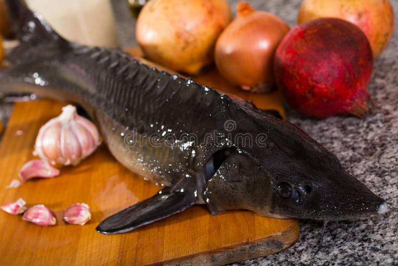 Raw Uncooked Fish Sturgeon at Plate before Preparing Stock Image ...