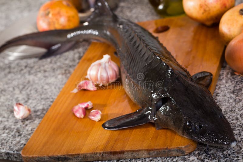 Raw Uncooked Fish Sturgeon at Plate before Preparing Stock Image ...