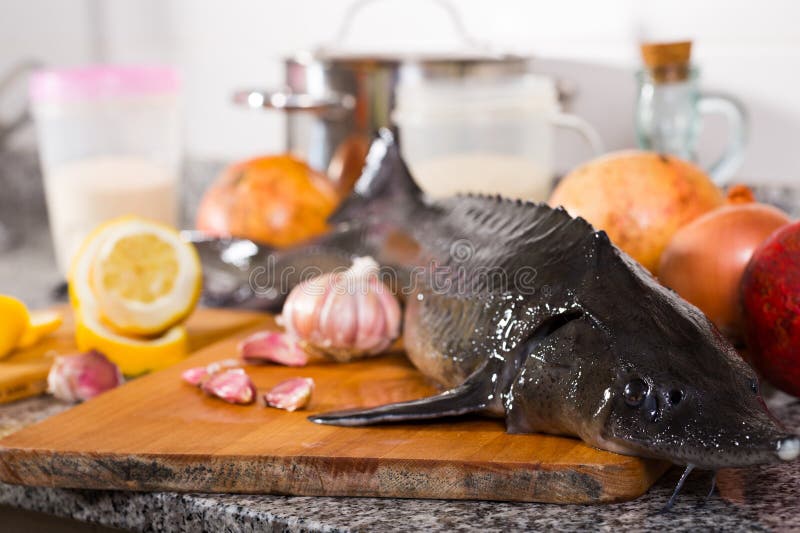 Raw Uncooked Fish Sturgeon at Plate before Preparing Stock Image ...
