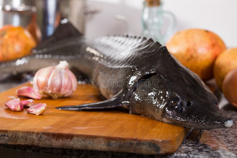 Raw Uncooked Fish Sturgeon at Plate before Preparing Stock Photo ...