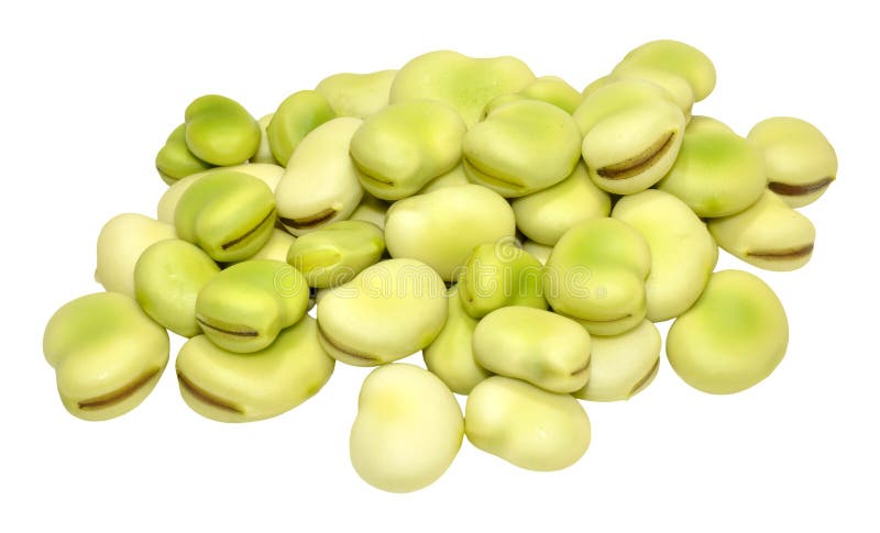 Raw Uncooked Fresh Broad Beans Stock Photo - Image of crop, prepared ...