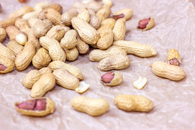 One Unpeeled Peanut Nut Isolated on White Background Stock Photo ...