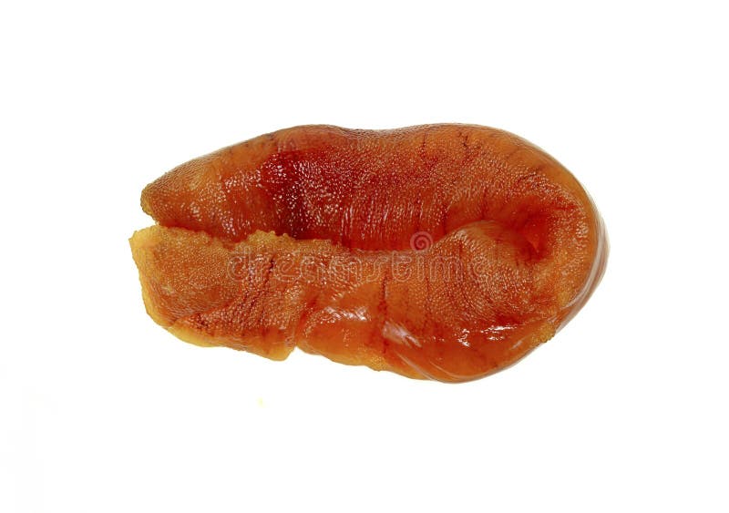 Raw, Pike Caviar Isolated on White. Stock Photo - Image of gourmet ...