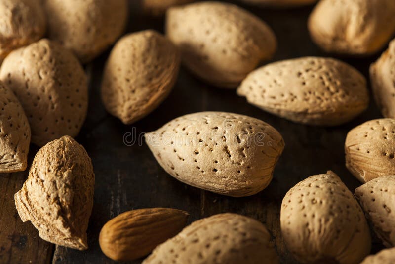 Raw Unshelled Organic Almonds Stock Image - Image of ingredient ...