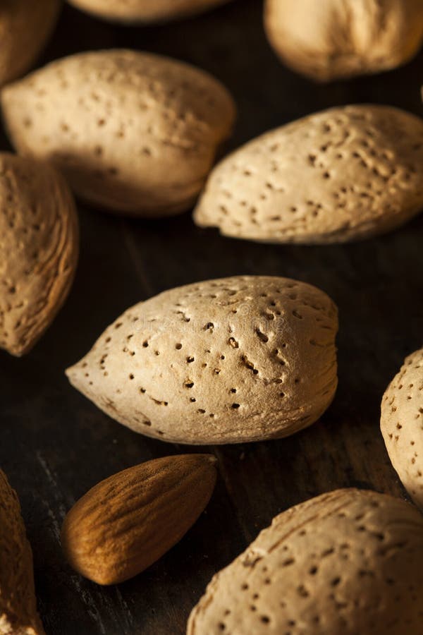 Raw Unshelled Organic Almonds Stock Image - Image of food, kernel: 45392507