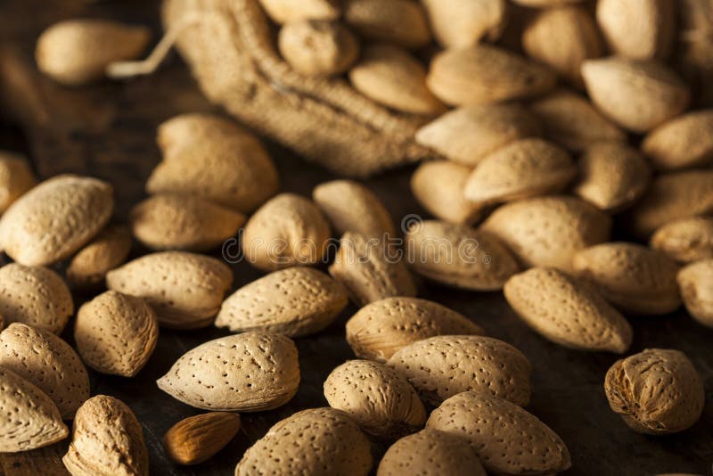 Raw Unshelled Organic Almonds Stock Photo - Image of brown, healthy ...
