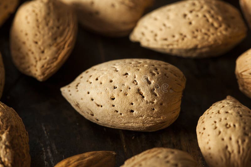 Raw Unshelled Organic Almonds Stock Image - Image of sweet, nuts: 45392749