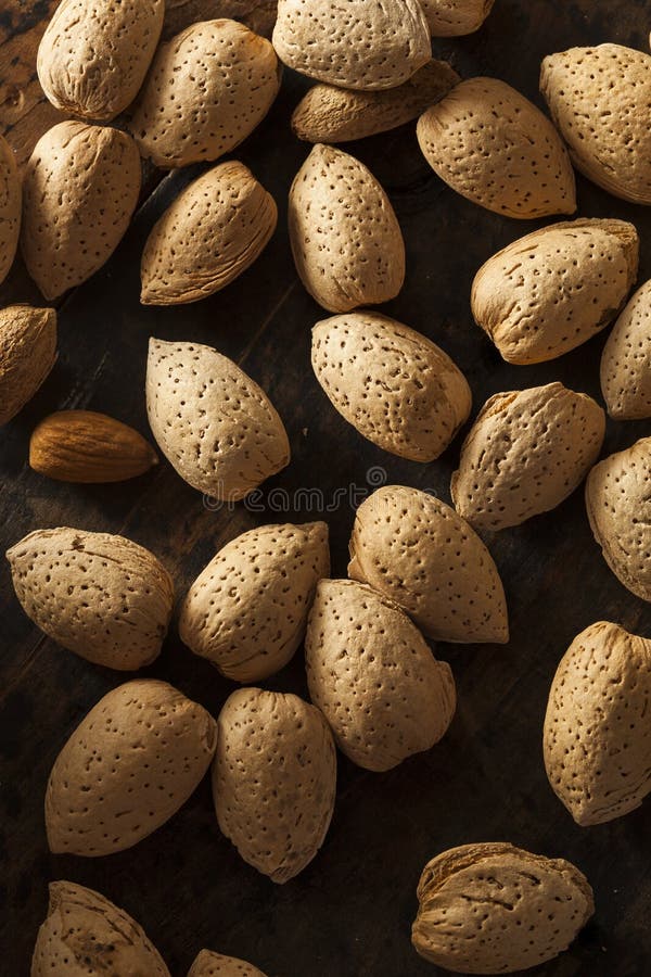 Raw Unshelled Organic Almonds Stock Image - Image of natural, husks ...