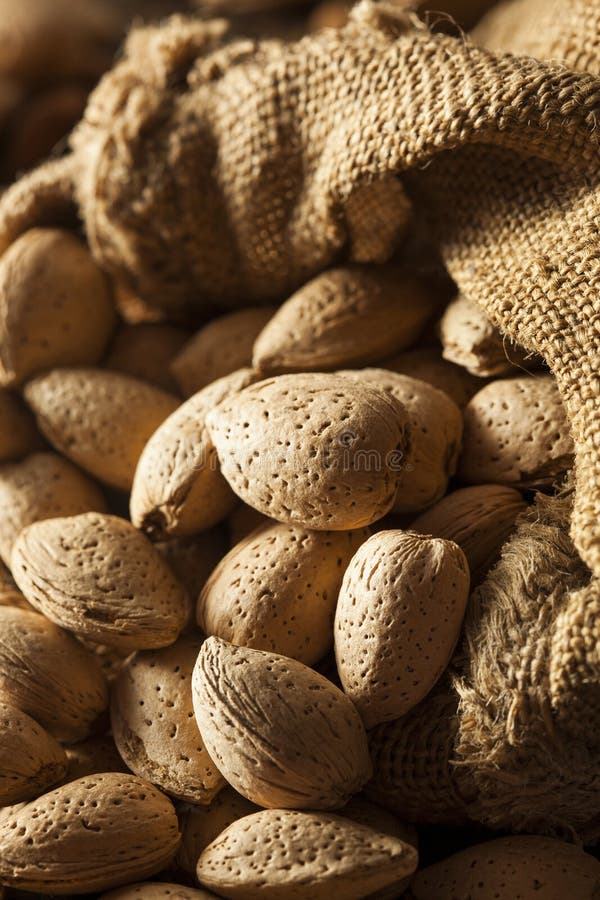 Raw Unshelled Organic Almonds Stock Image - Image of gourmet, tasty ...