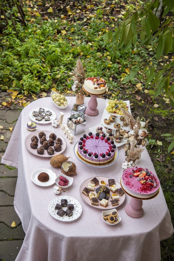 Raw vegan candy bar stock image. Image of energy, healthy - 206685177