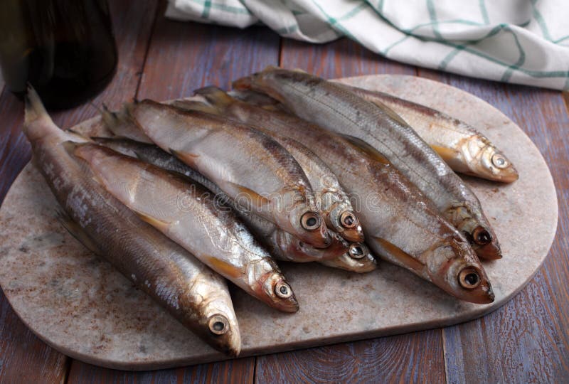 Vendace fish stock photo. Image of catch, silver, finland - 33741172