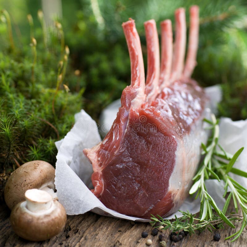 Raw venison rack stock image. Image of deer, venison - 25718981
