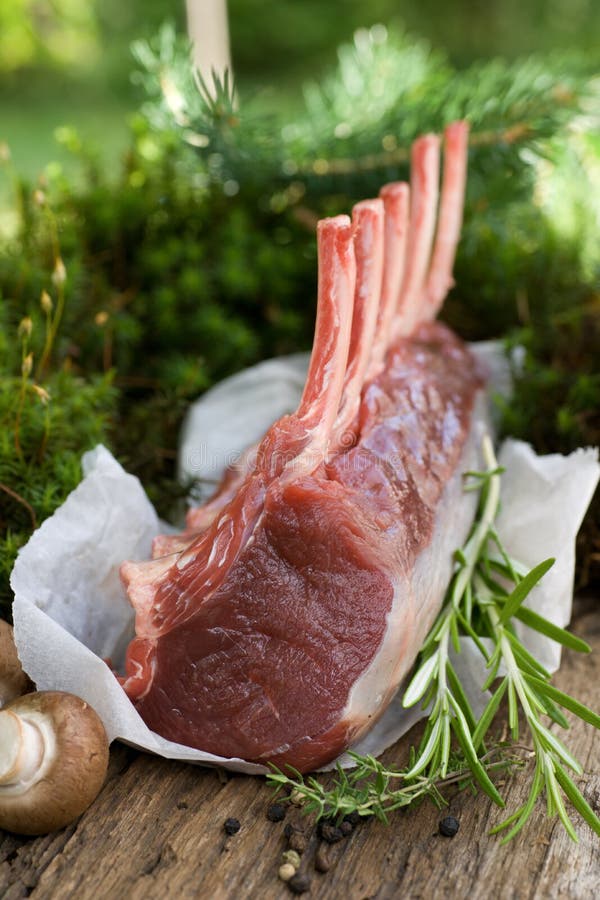 Raw venison rack stock photo. Image of rack, hunter, herbs - 25720944